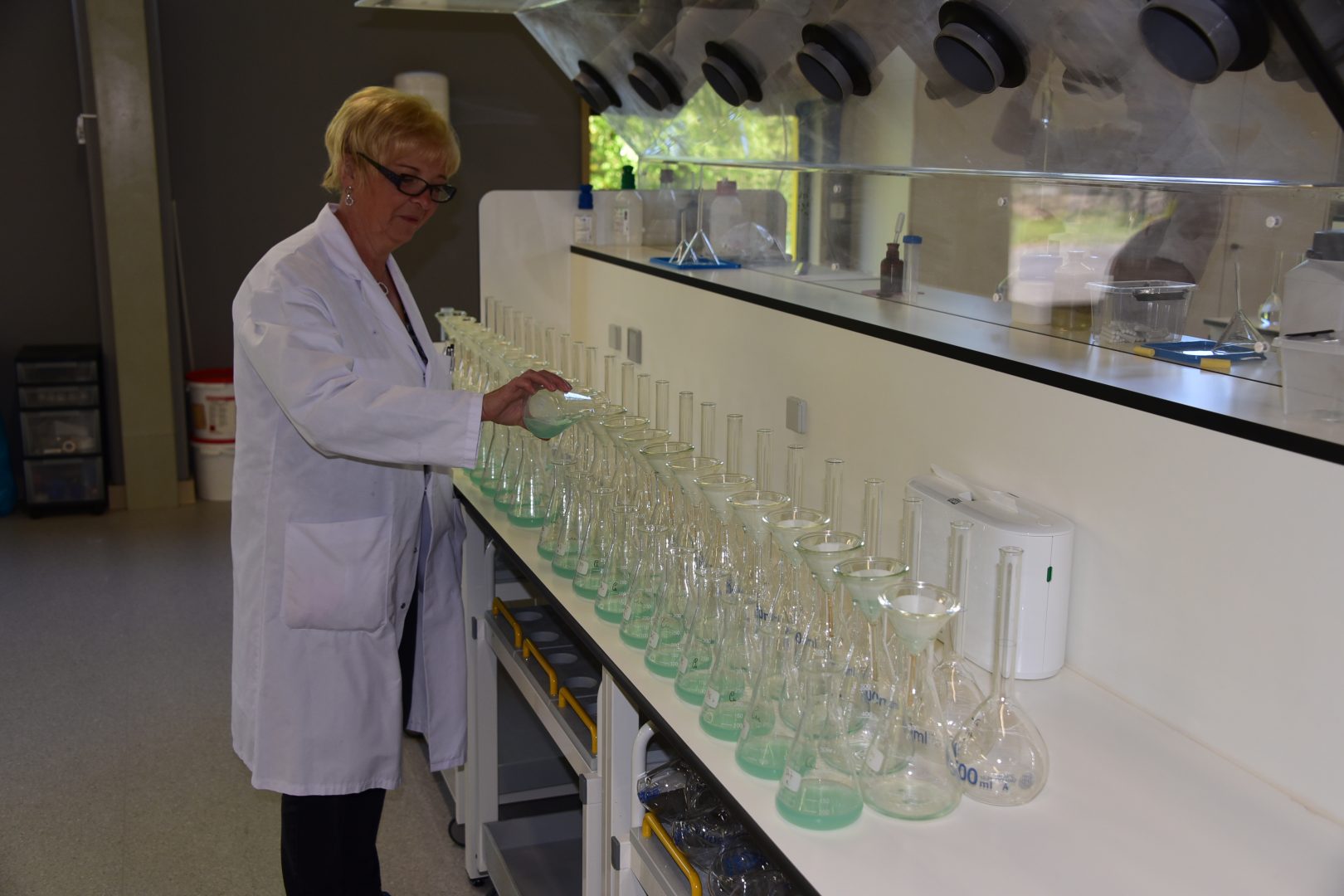 Services – Bachelet Laboratories